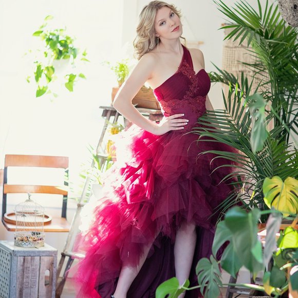 JJs House | Dresses | Cabernet Princess One Shoulder Asymmetrical Tulle ...